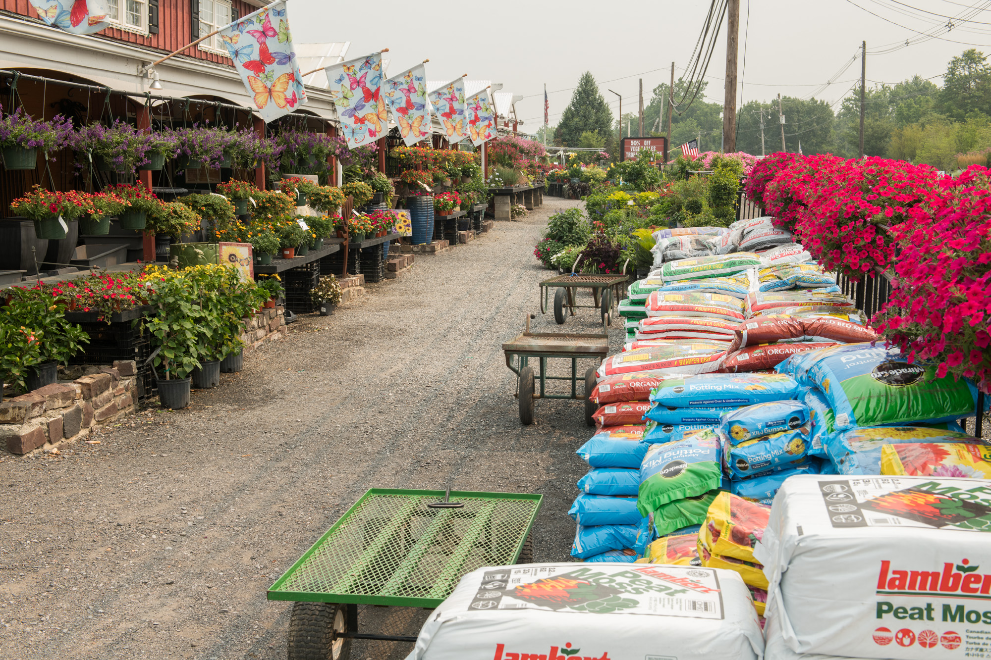 Winter Gardening: Tips & Tricks - Bountiful Acres