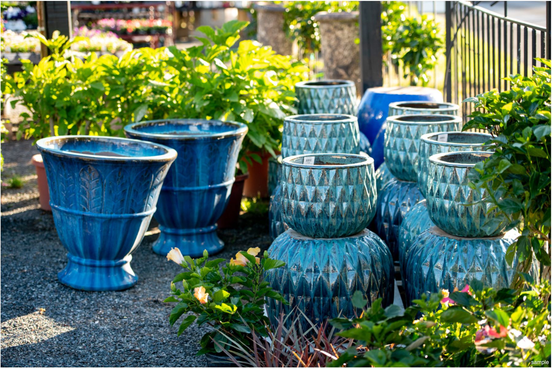 Creating your Perfect Patio Plants - Bountiful Acres
