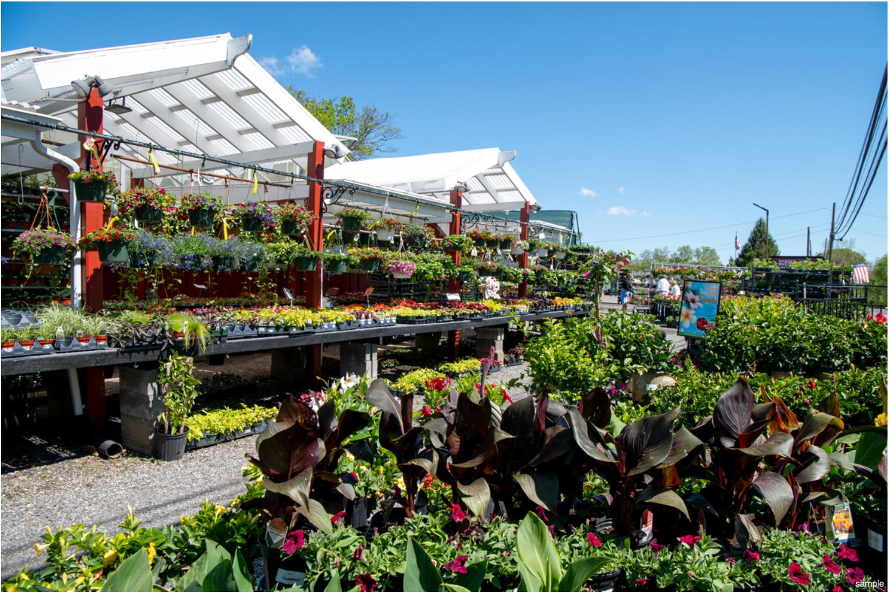 How to Choose a Garden Center - Bountiful Acres
