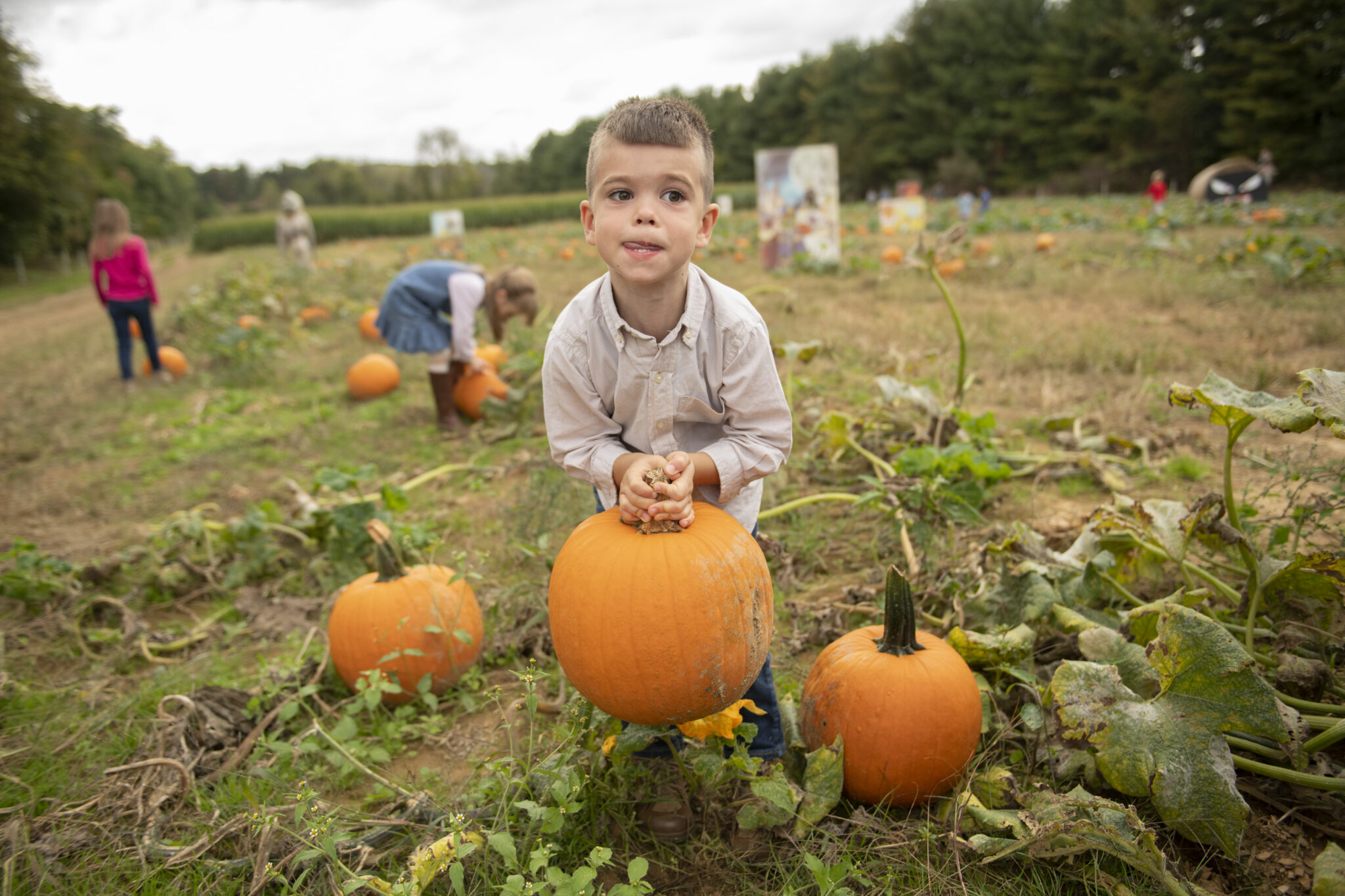 Pumpkin Harvest Festival - Bountiful Acres