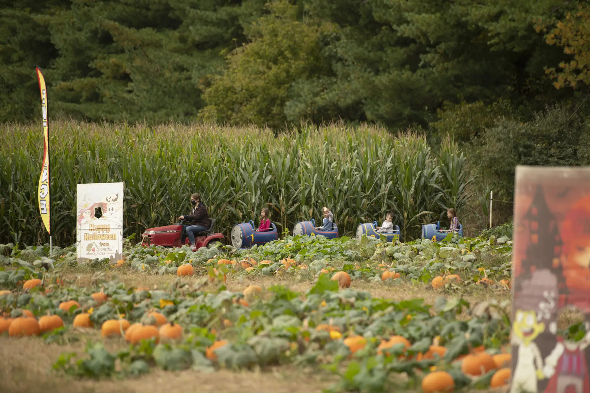 The History of the Pumpkin Patch - Bountiful Acres Garden Center ...
