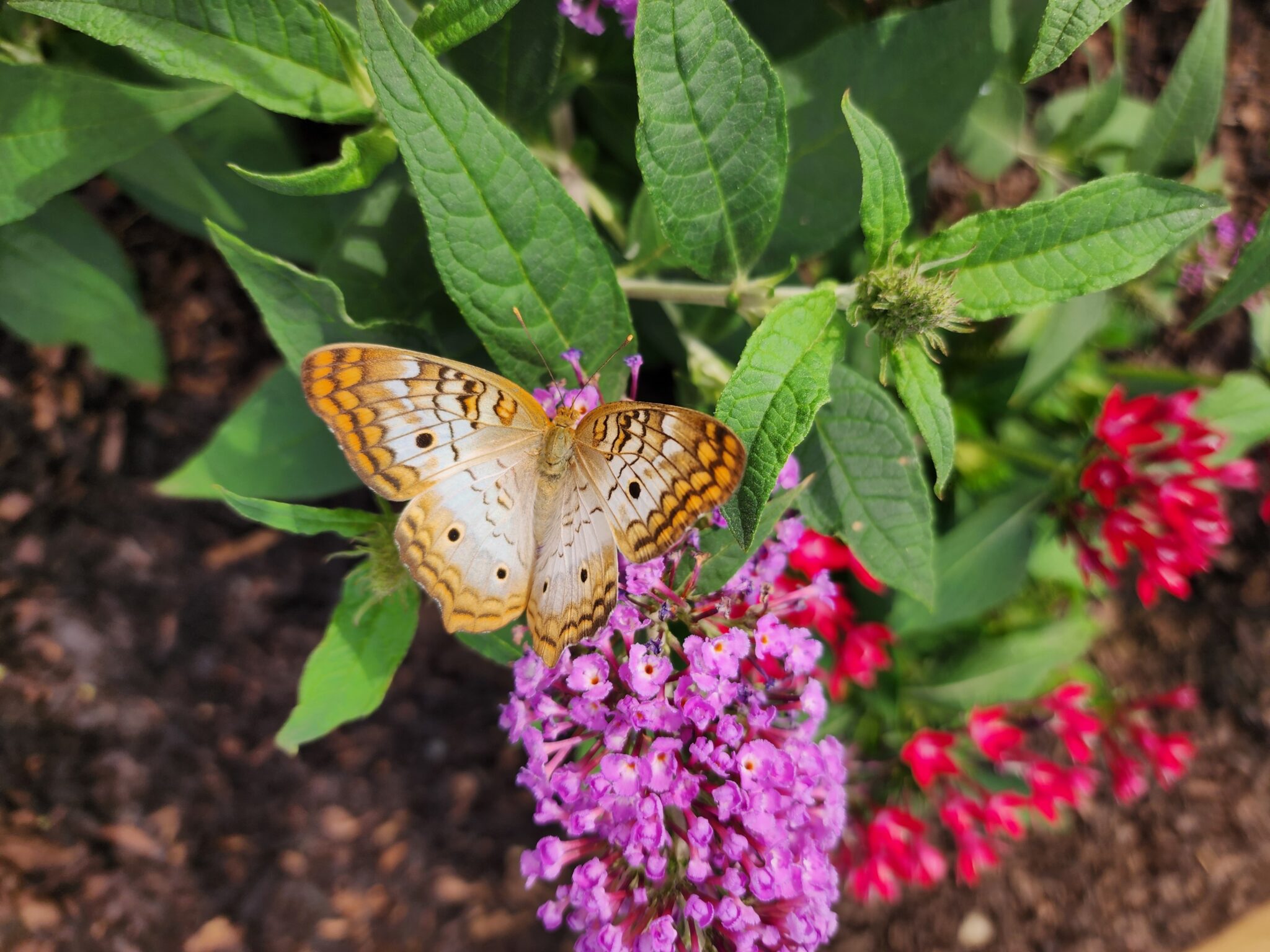 Home - Bountiful Acres